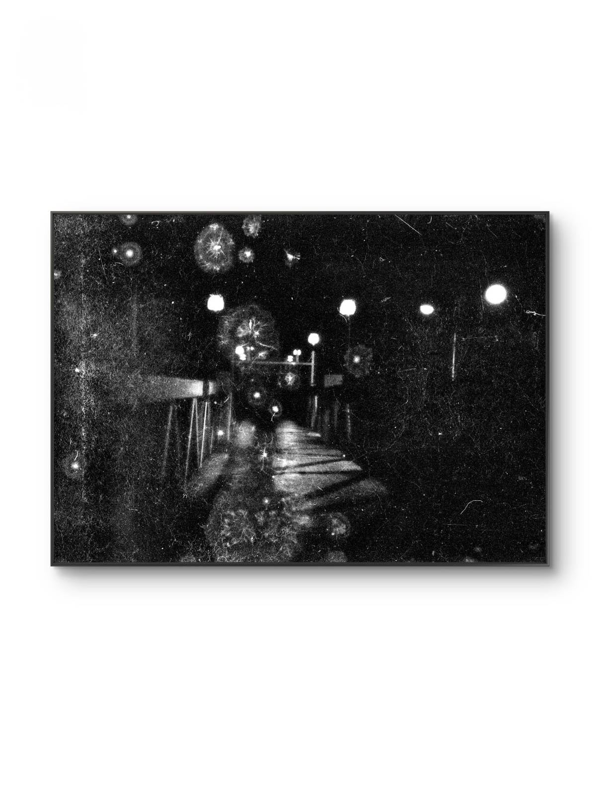 Miasma 1 - Premium Photo Print by Daniel Roque – Oooh!